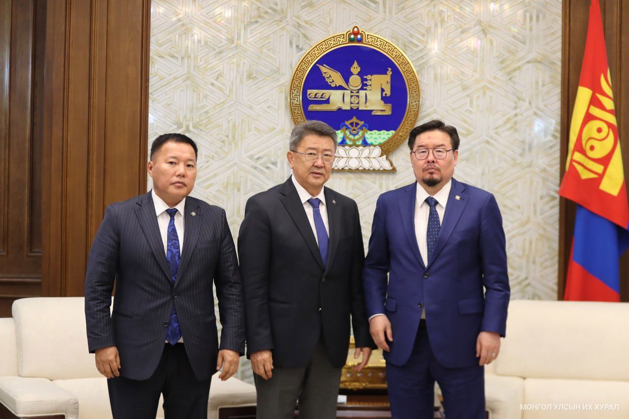 Халдашгүй байдлын дэд хороонд цөөнхийн төлөөллийг оруулах хуулийн төсөл өргөн барилаа