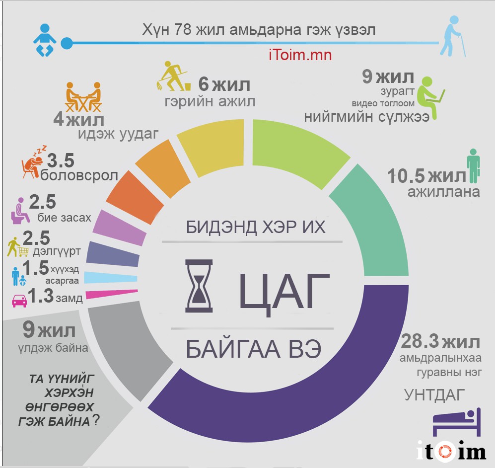 Itoim Инфографик Та амьдралаа юунд зарцуулдаг вэ