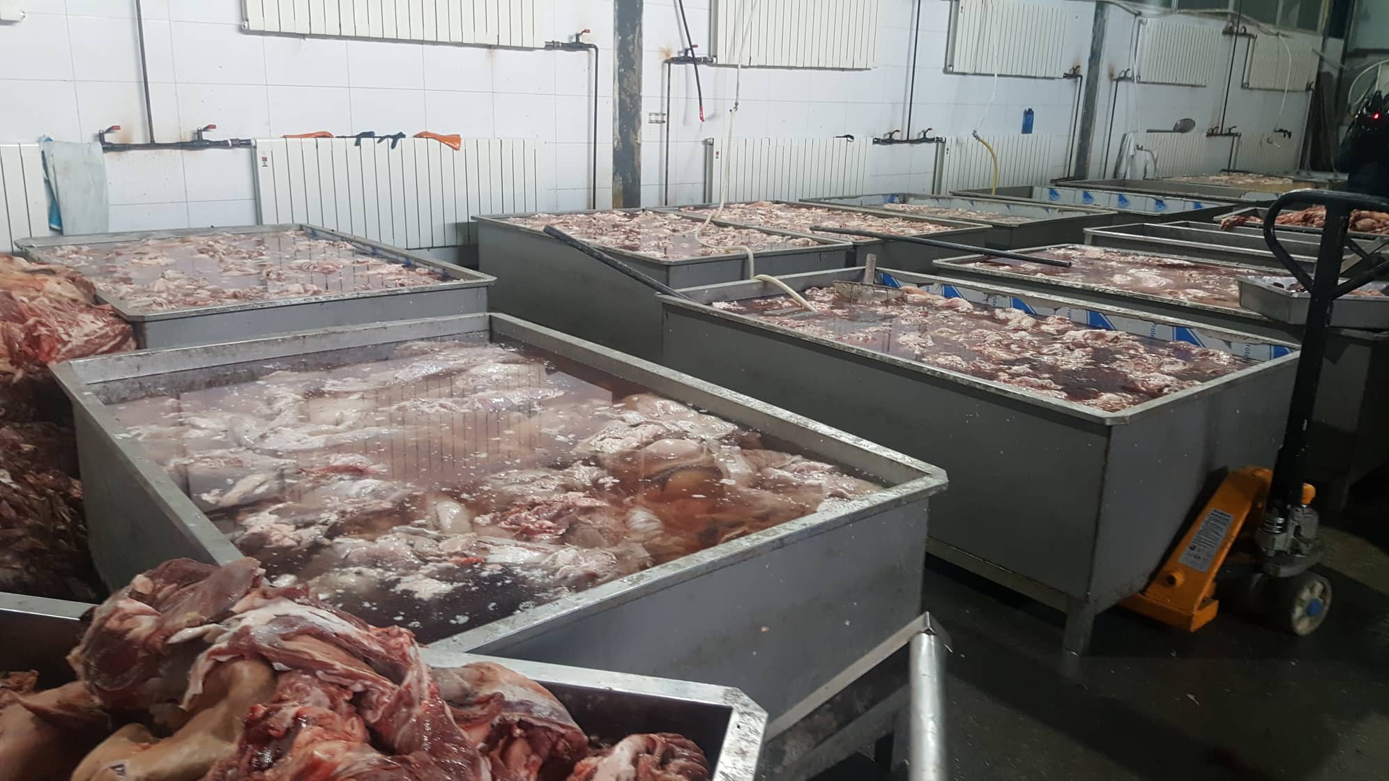 Эмээлтэд үйл ажиллагаа явуулдаг Эм Ди Си Пи ХХК ийн үйлдвэрийн зөвшөөрлийг цуцалжээ