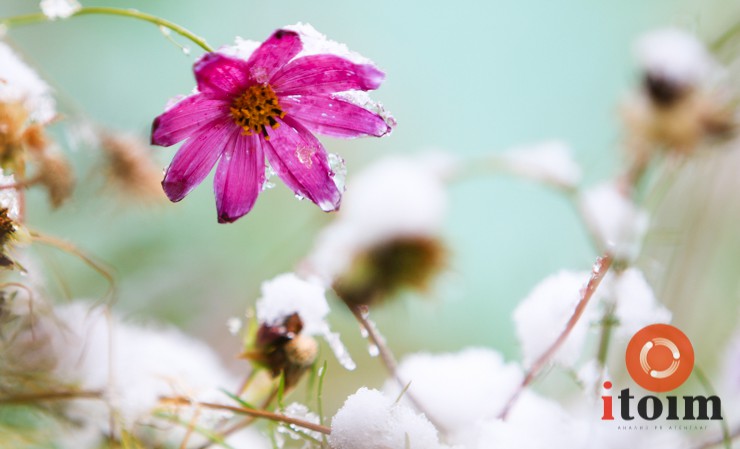 Сэрэмжлүүлэг Уулархаг нутгаар цас орж хөрсөн дээр цочир хүйтэрнэ