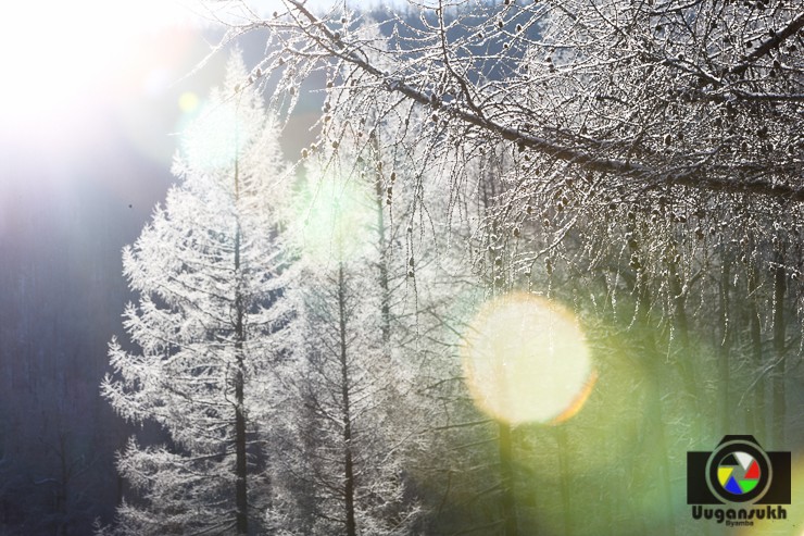 Нэгдүгээр сарын 15 19 нийг хүртэл ихэнх нутгаар цас орж онцгой хүйтрэхийг анхаарууллаа