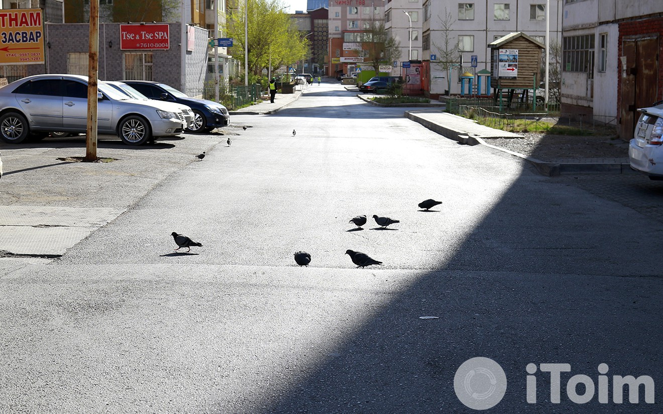 Фото Чингэлтэй дүүрэгт хөл хорио тогтоолоо